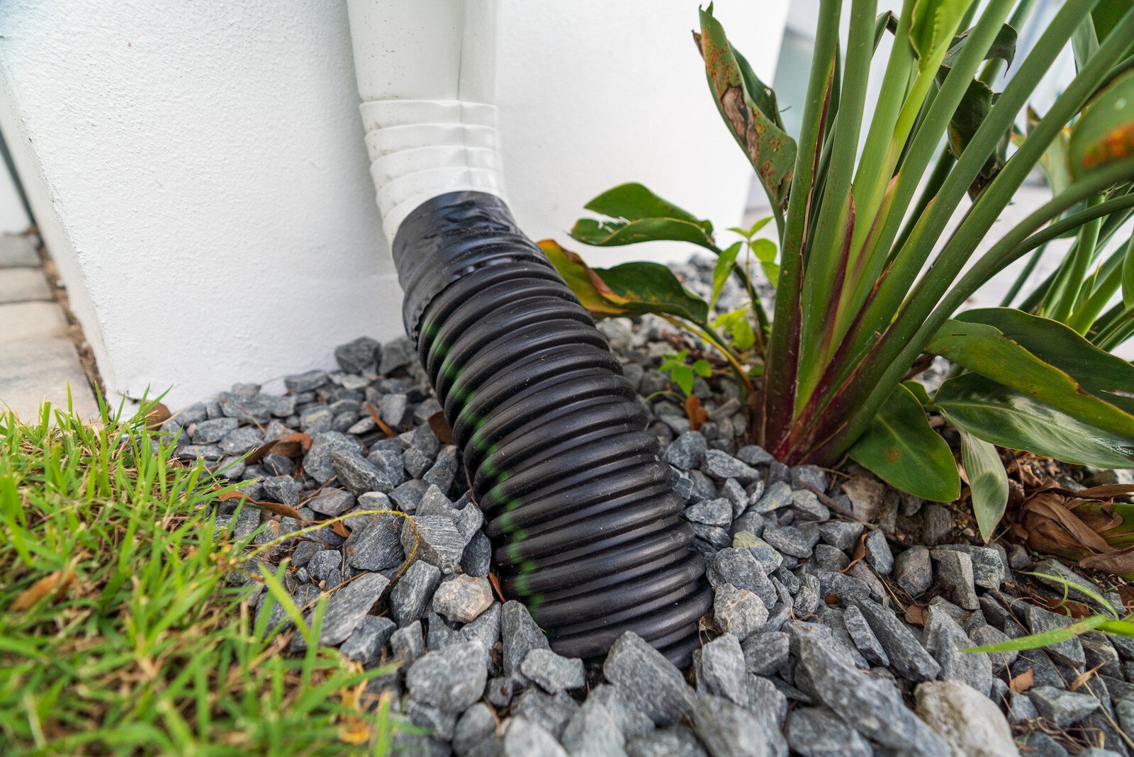 DIY Yard Drainage Solutions vs. Hiring Pros: Why Experience is Key