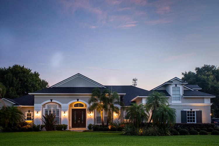 7 of the Best Palm Trees for Your Central FL Landscaping
