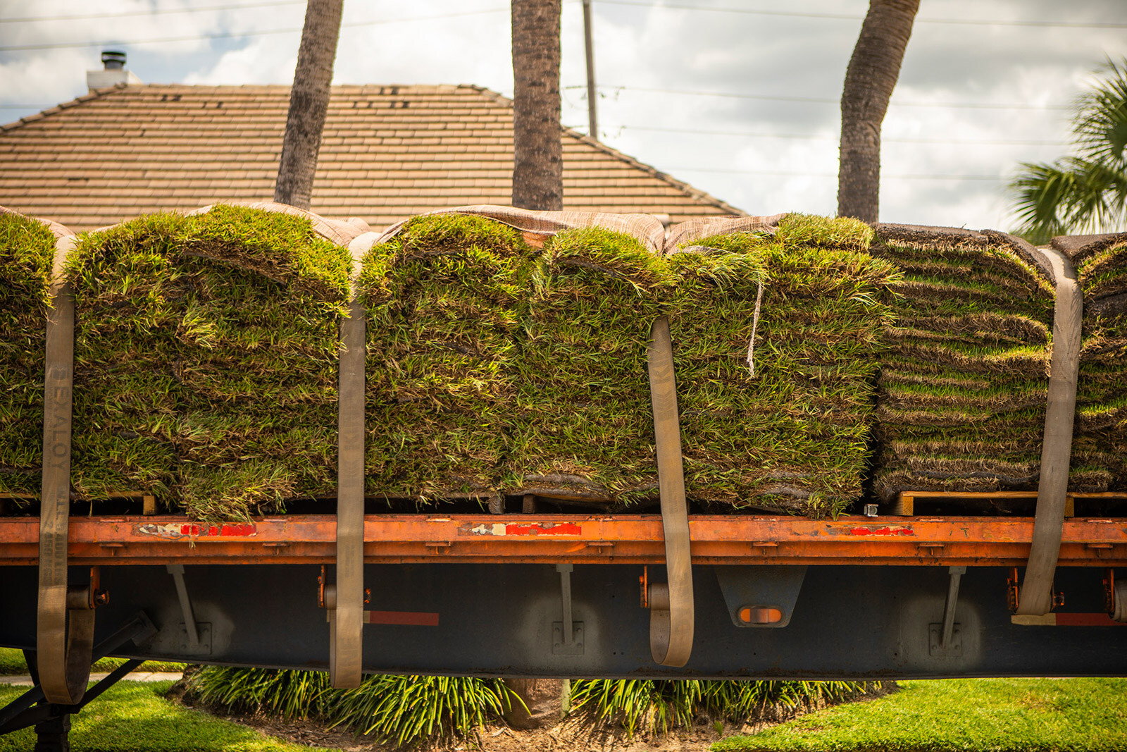 3 Sod Estimate Essentials: What to Expect in Your Sod Estimate in ...