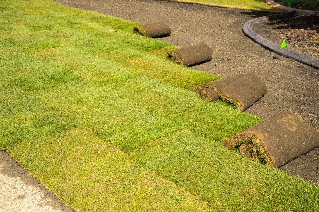 Should Sod Be Fertilized? Should Sod Be Level? 2 Sod Questions, Plus ...