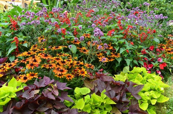 10 Ideas for Landscaping Your Small Backyard in Central Florida