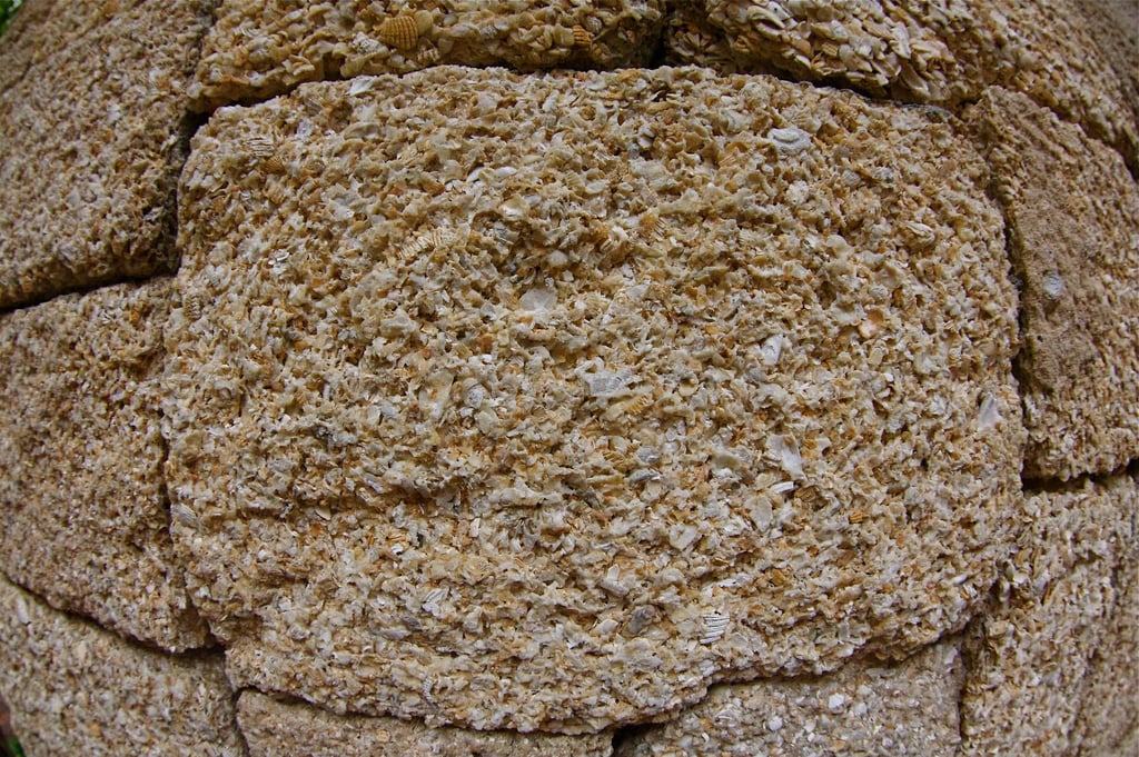 Choosing the Best Florida Native Stone for Your Next Landscaping Project