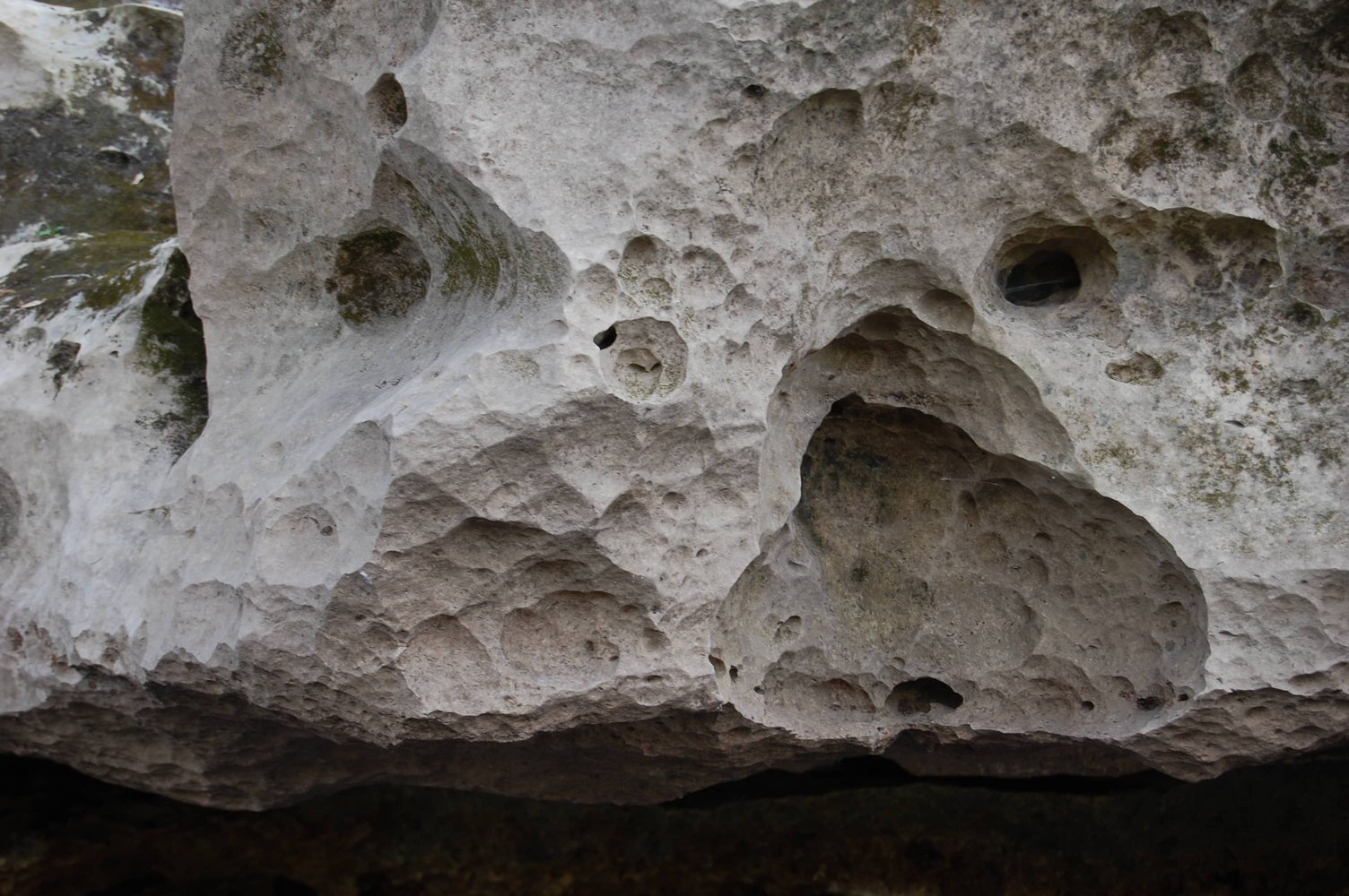 Choosing the Best Florida Native Stone for Your Next Landscaping Project